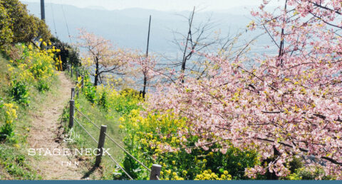 5 Travel Tips & Things to Do in Maine in April | Stage Neck Inn